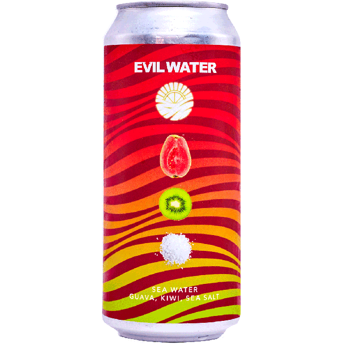 Sea Water: Guava, Kiwi, Sea Salt - Evil Twin Brewing - Buy Hard Seltzer ...